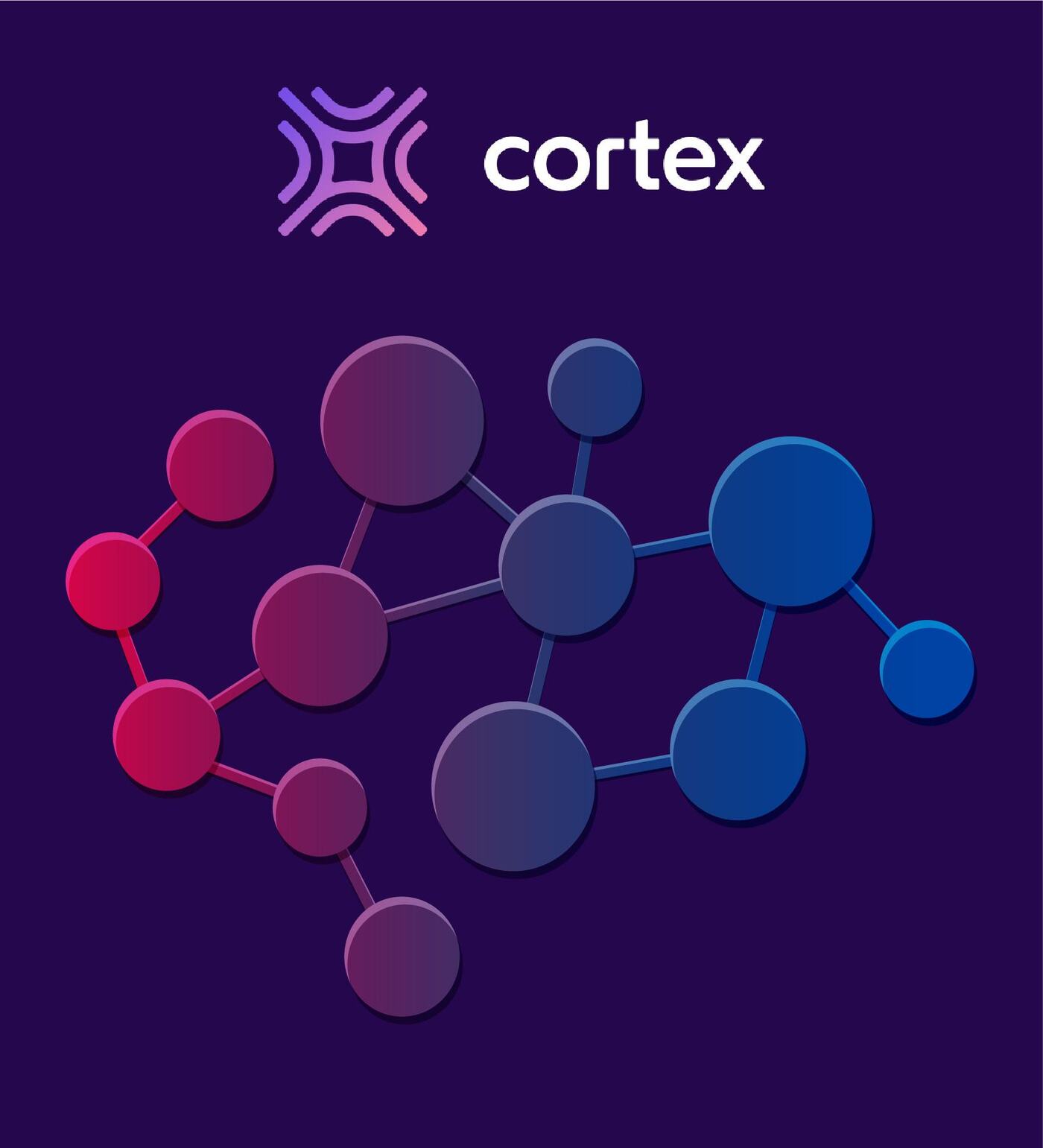 Cack Wilhelm | Team | IVP