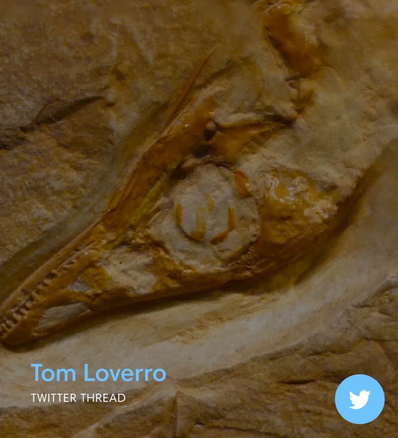 Tom Loverro | Team | IVP